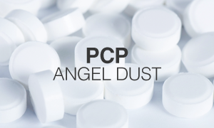 Större efterfrågan på vårt PCP test - Ferle Produkter